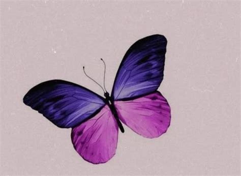 Computer Programming Java Php C And So On Studigoo