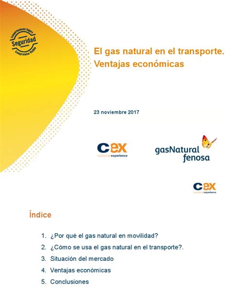 Gas Natural Servicio Pdf Inyección De Combustible Contaminación