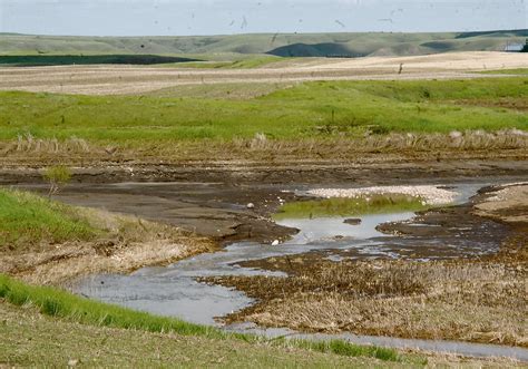 Predicting Gully Erosion Helps Land Management The Western Producer