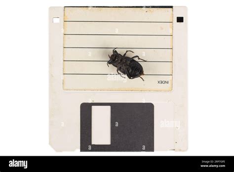 bug on retro floppy diskette computer error concept isolated on white