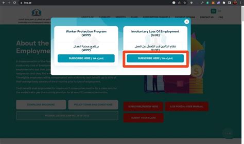 Muhammad Shahid Rafi C P On Linkedin Iloe Employmentsecurity