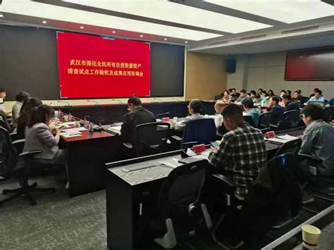 ⊙【动态】永业行参与的武汉市深化全民所有自然资源资产清查试点工作通过验收 成果 国土 方面