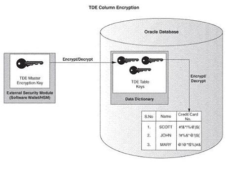 One Can Succeed At Almost Anything For Which He Has Enthusiasm Transparent Data Encryption