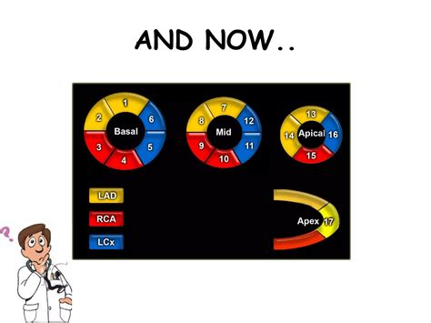 Sequential Segmental Analysis Of Heart Pptx