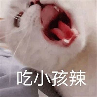 适合谈恋爱发的表情包合集 我太馋你的身子了 马住