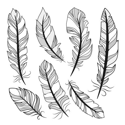Simple Feather Vector