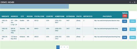 Ms4bi Excel Interface