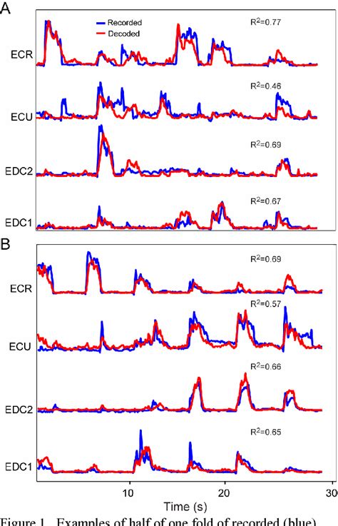 Figure 1 From Decoding Muscle Activity With Local Field Potentials Semantic Scholar