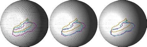 Figure 10 From A Geometry Driven Optical Flow Warping For Spatial Normalization Of Cortical