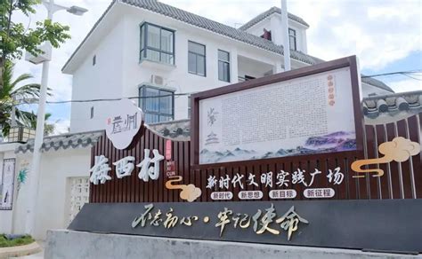崖州区梅西村成功解锁乡村文明的“密码”