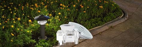 Landscape Light Replacement Bulbs