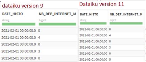 Date Format Detection Dataiku Versionning — Dataiku Community