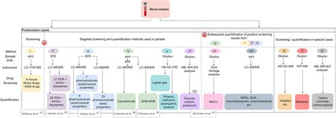 Overview Of The Sta Strategy And Method Setups Applied For Postmortem