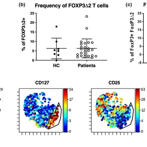 Foxp3d2 Cd4 T Cells Are Not Conventional Cd25 High Cd127 À Low Download Scientific Diagram