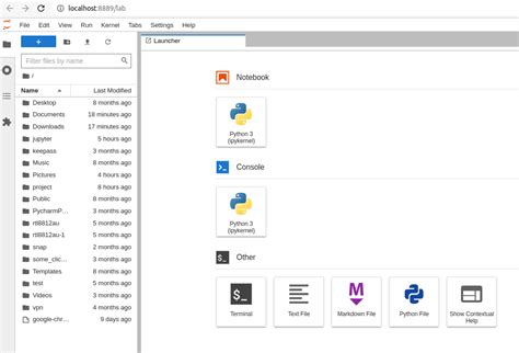 Основы работы в Jupyterjupiter Notebook и Jupyterlab Python Tutorial