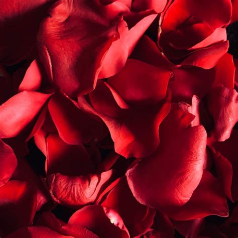 C Mo Escribir Una Novela Er Tica Todo Lo Que Hay Que Saber En Preguntas Fingerprint Espa A