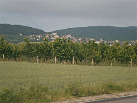 Купува земеделска земя ниви лозя овощни градини ливади и пасища в Богомилово общ Стара Загора