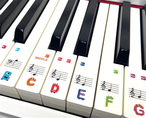 36 Piano Keyboard Notes