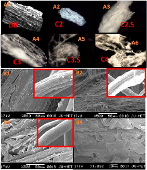 A1a6 Dark Field Optical Micrographs Of Different Samples