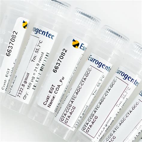 Custom Sirna Synthesis Free Design Guaranteed Silencing Eurogentec