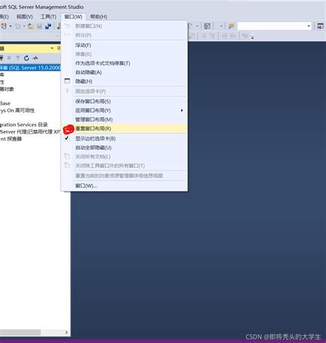 关于sql恢复默认的对象资源管理器：sql对象资源管理器怎么恢复原状 Csdn博客