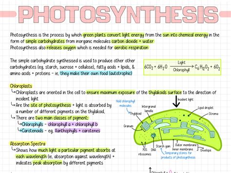 Ccea A22 Level Biology Notes Teaching Resources