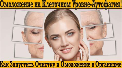 Аутофагия омоложение и очистка организма на клеточном уровне Youtube