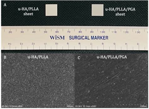 Nanomaterials Special Issue Synthesis Properties And Applications Of Polymeric Nanomaterials