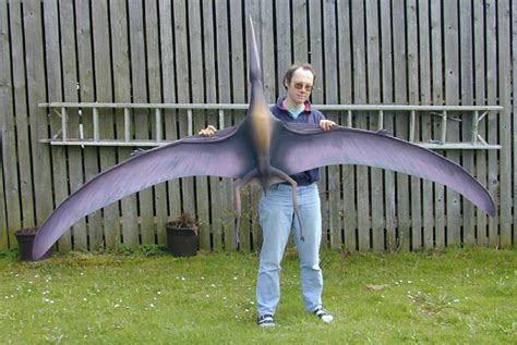 Actual Size Of Pterodactyl At Robert Hambright Blog