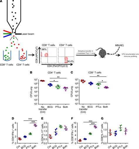 Intranasal Immunization With Peptide Based Immunogenic Complex Enhances Bcg Vaccine Efficacy In