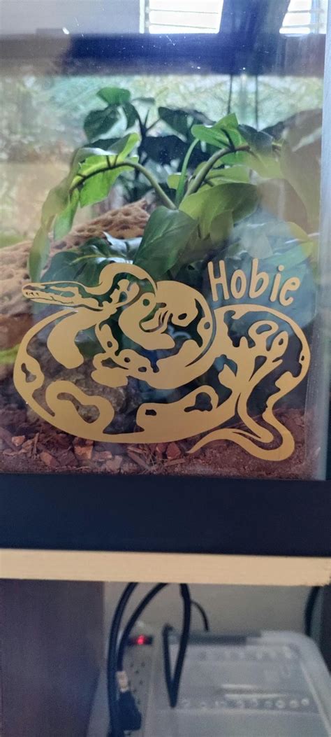 Ball Python Customizable Decal Waterproof Reptile Vinyl Decal Cute S Fatty Pancake