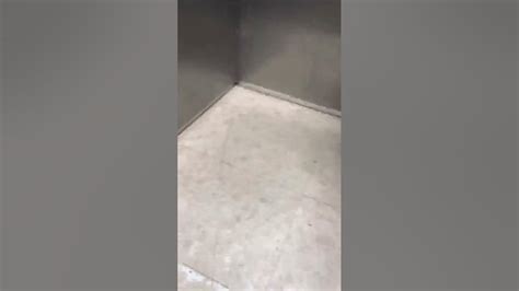 앨지오티스 시그마 Youtube