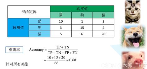 深度学习之图像分类（一） 分类模型的混淆矩阵二分类的混淆矩阵实例 Csdn博客