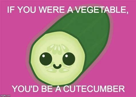 Cutecumber 🥺 9gag