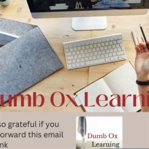 Mainhome Dumb Ox Learning