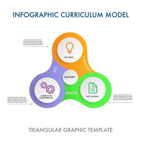 Curriculum Model 3 Step Infographic Template Stock Illustration Illustration Of Design Flat