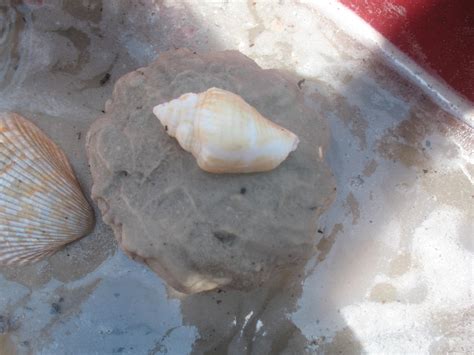 We Can Do All Things Homemade Beach