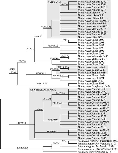 Majority Rule Consensus Tree From Maximum Parsimony Analysis Of The