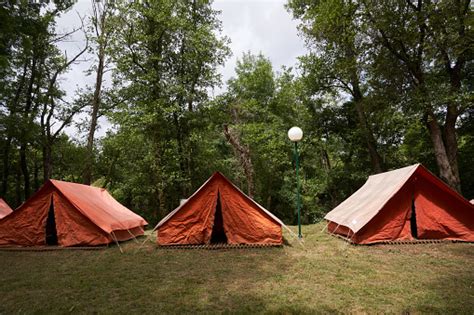 숲 앞에 서있는 세 개의 오렌지색 캠핑 텐트의 정면보기 여름 캠프 여름 캠프에 대한 스톡 사진 및 기타 이미지 여름 캠프