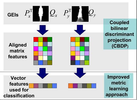 Peng Zhang Shandong University Of Science And Technology