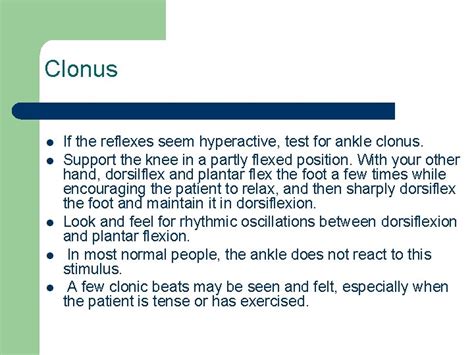 Reflexes Definition A Reflex May Be Defined As