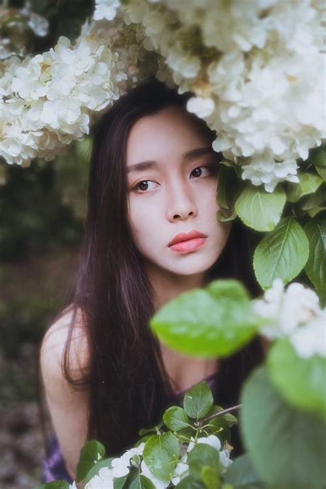 繡球花下美人如玉汀薇人像攝影 每日頭條