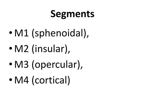 Middle Cerebral Artery Anatomy Pptx