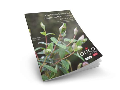 Tnfd Tcfd Illustrative Example Download