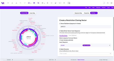 Restriction Enzyme Cloning
