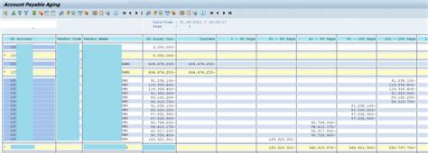 SAP Report AP Aging