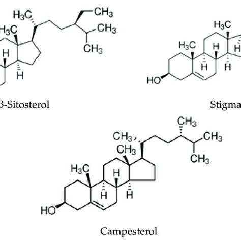 Chemical Structure Of The Three Most Representative Phytosterols In Download Scientific Diagram