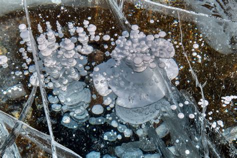 Frozen Methane Bubbles Russian Federation