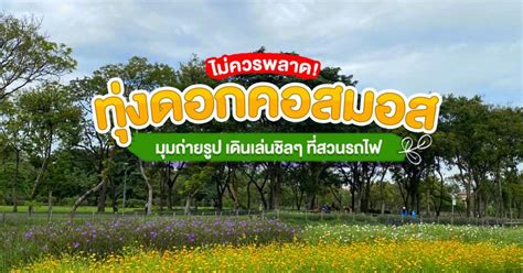 ไม่ควรพลาด ทุ่งดอกคอสมอส มุมถ่ายรูป เดินเล่นชิลๆ ที่สวนรถไฟ ชิลไปไหน