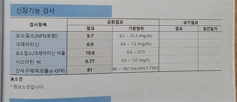 신장 기능 검사 수치 무엇을 의미할까 정상 범위 총정리